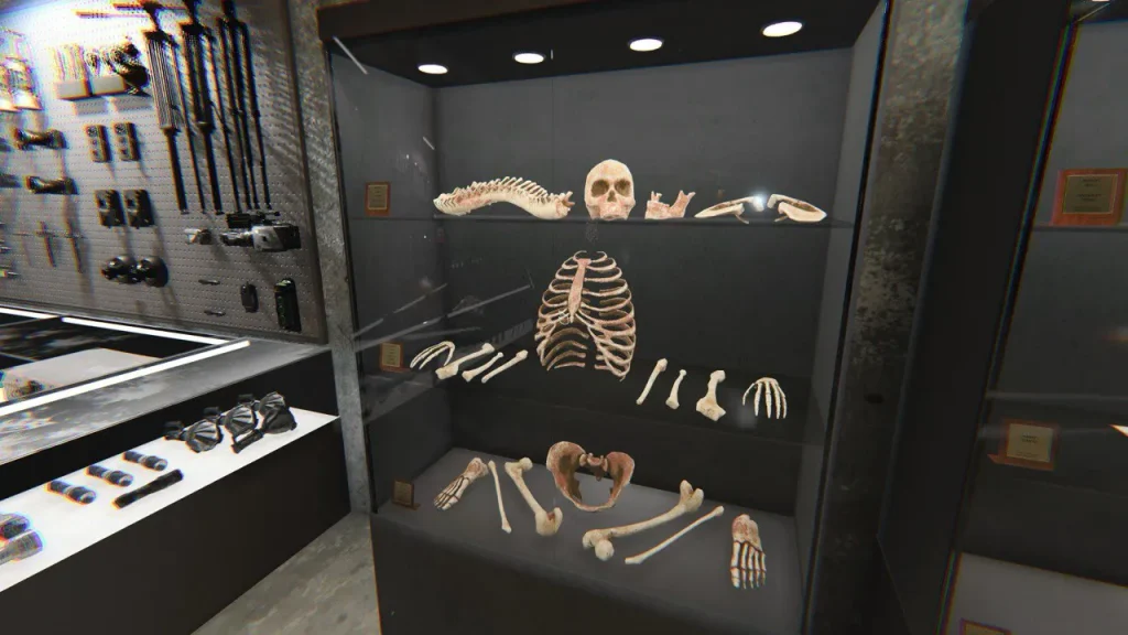 Phasmophobia: How to Find and Collect the Bone