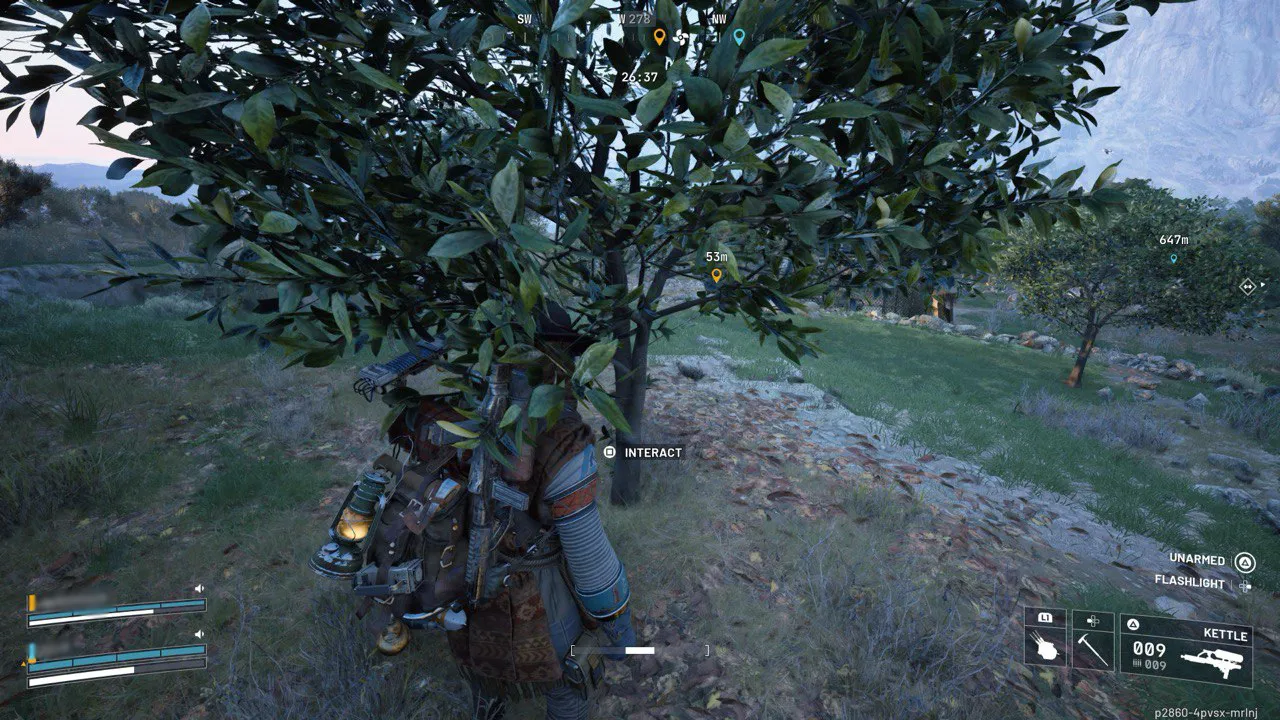 ARC Raiders: где найти Абрикосы, лимоны и оливки